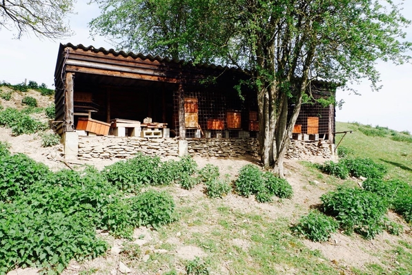 A la Ferme des Rabanisse | sh-op editions